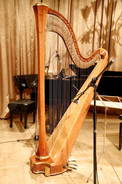 Harp and piano on stage before the concert Stock Photo by ©accept001 ...