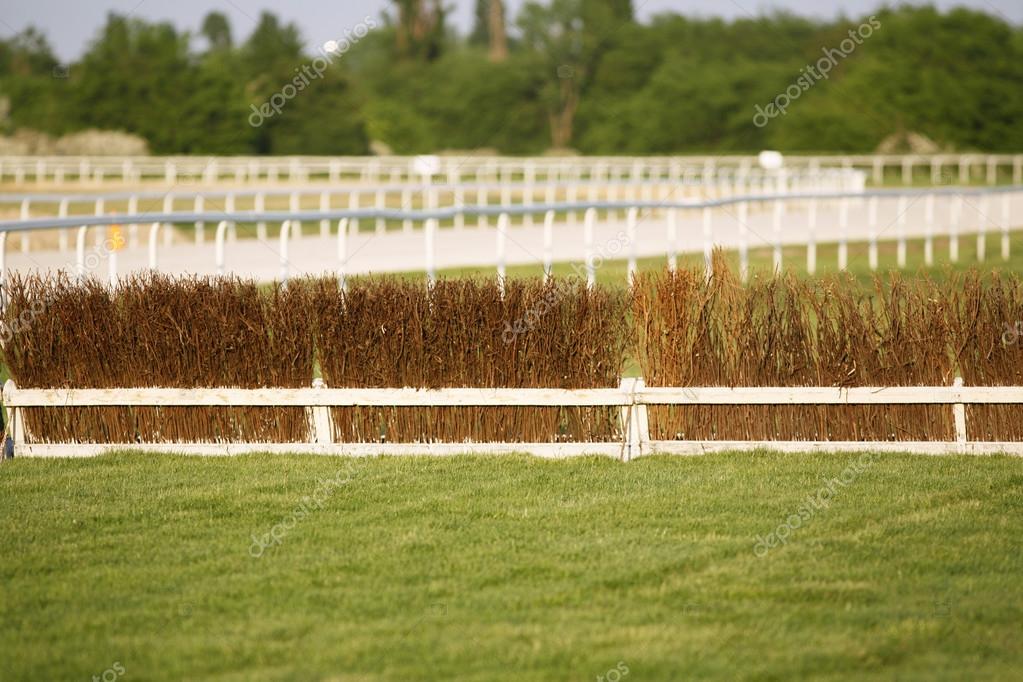 Empty Horse Race Track