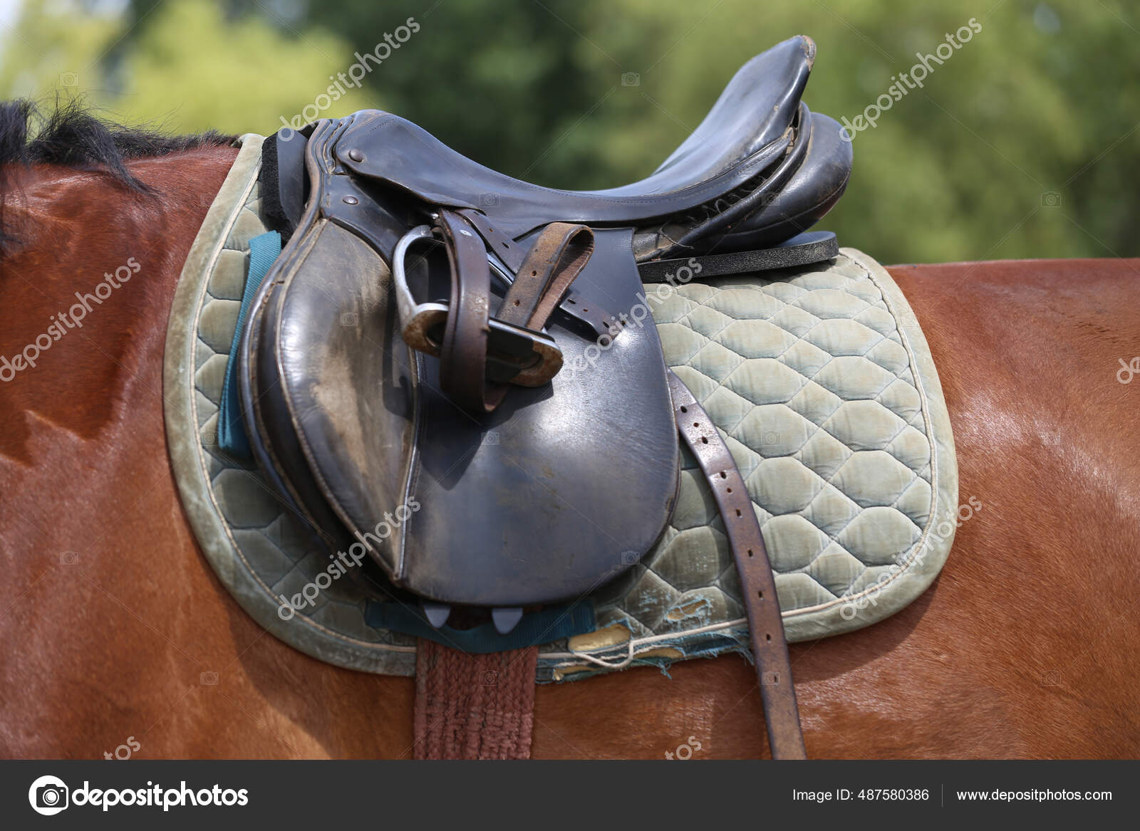 Back Horse Brown Leather Saddle Saddle Cloth Worn Top Illuminated ...