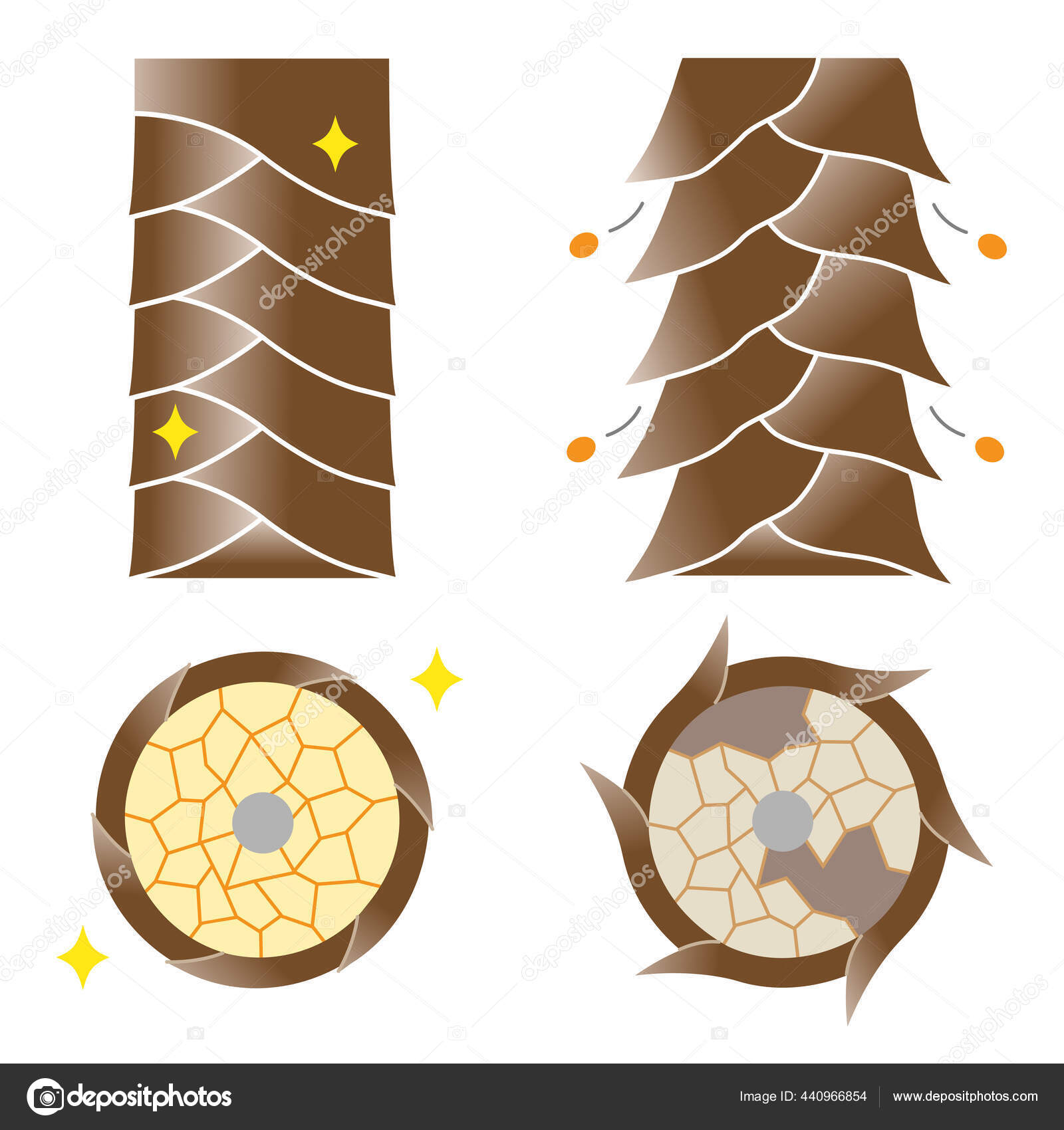 Damaged Hair Cuticle