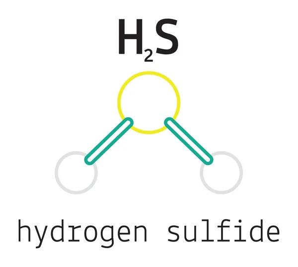 Hydrogen sulfide Vector Art Stock Images | Depositphotos