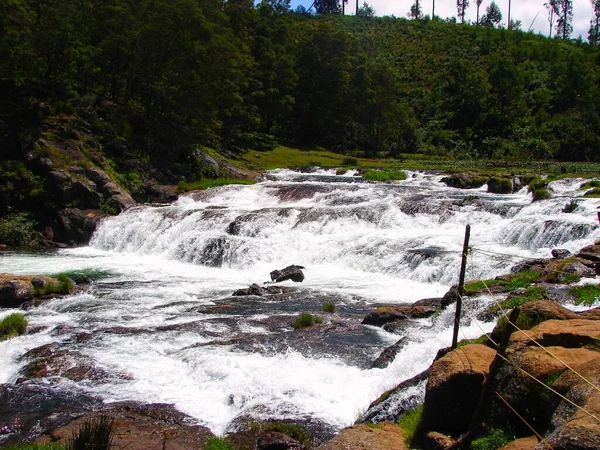 Parque nacional de itatiaia Stock Photos, Royalty Free Parque nacional ...