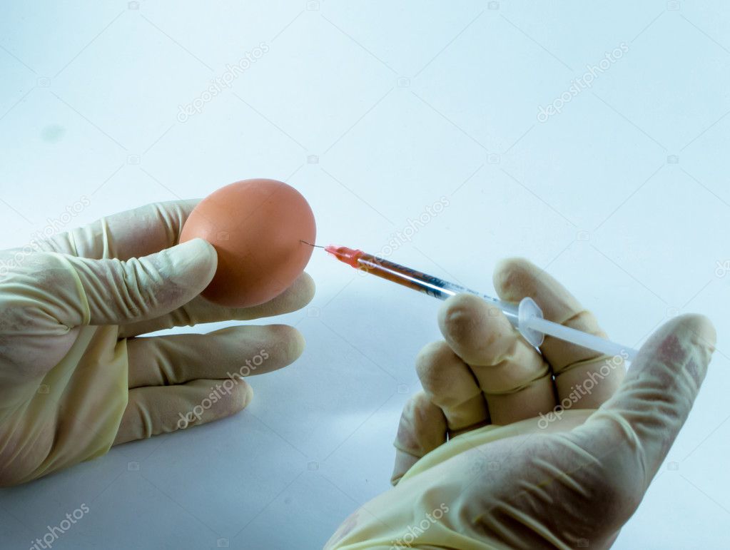 Egg Injection with Hypodermic Needle Stock Photo by ©johndwilliamsUK ...