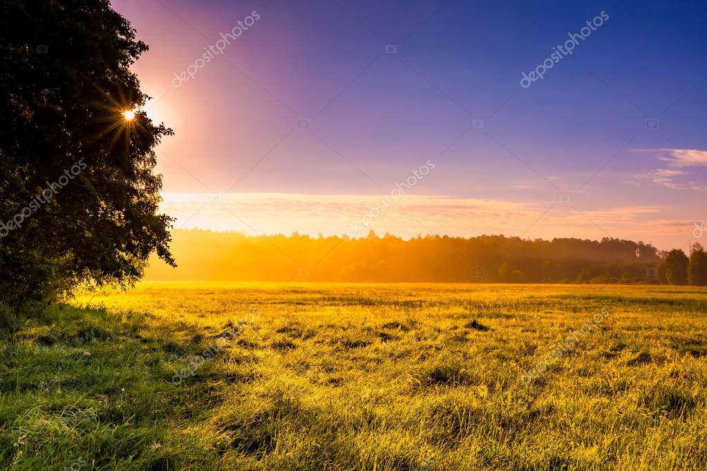 Mysterious and hazy meadow landscape photographed in Poland — Stock ...