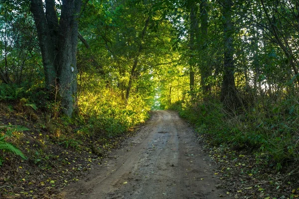 Rural trail Stock Photos, Royalty Free Rural trail Images | Depositphotos