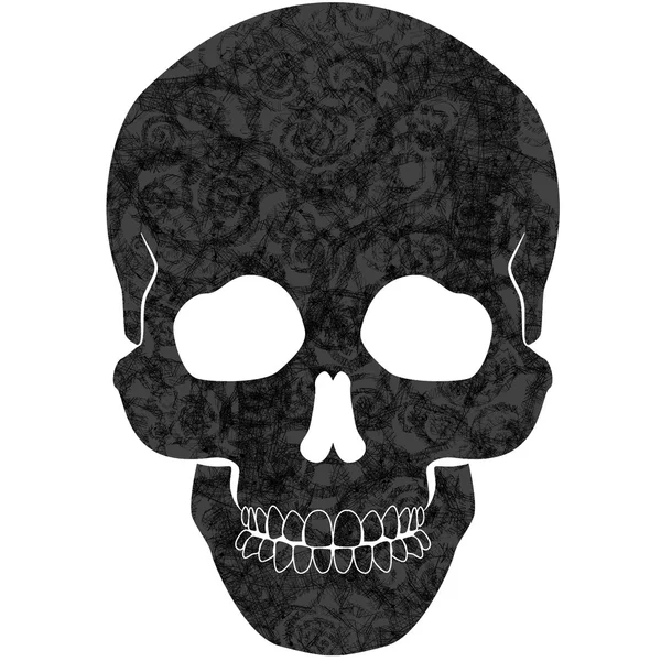 Koponya rajz Stock fotók, Koponya rajz Jogdíjmentes képek | Depositphotos