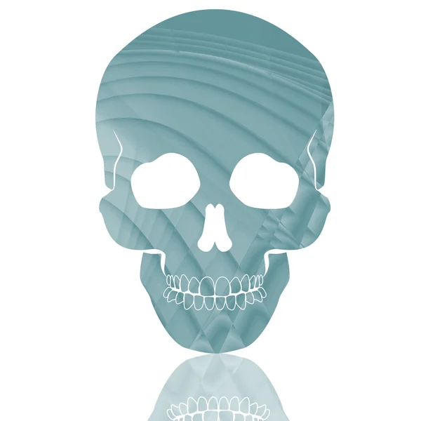 Human skull diagram stock illustration download image now medical Stock ...