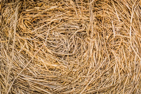 Hay texture Stock Photos, Royalty Free Hay texture Images | Depositphotos