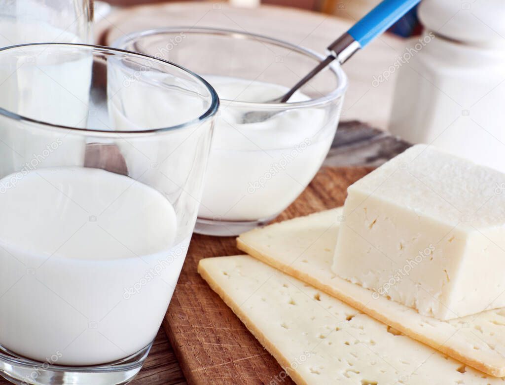 Selección de productos lácteos 2022