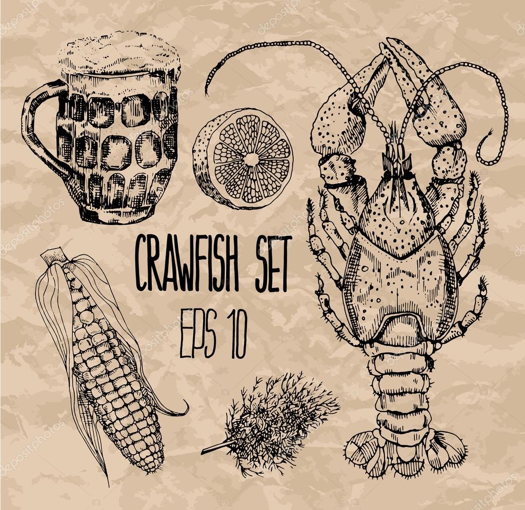 Crawfish set. Vector illustration. Stock Vector Image by ©AnnaPavlyuk82 ...