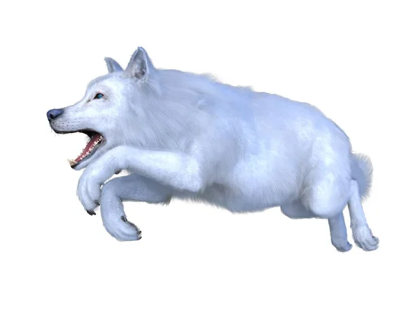 Rendering Wolf Stock Photo by ©TsuneoMP 691374254