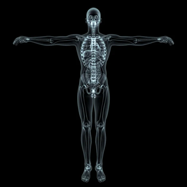 Skeleton crouching — Stock Photo © farconville #12174653