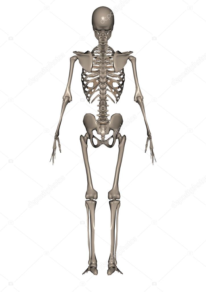 Human body — Stock Photo © TsuneoMP #76108927