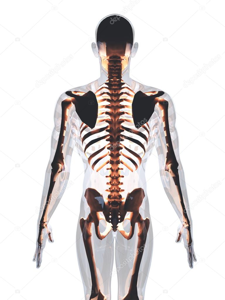 Human body — Stock Photo © TsuneoMP #76111037