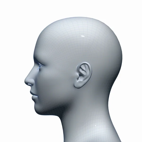 Head Stock Photos, Royalty Free Head Images | Depositphotos