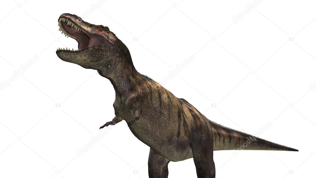 Dinosaur Stock Photo by ©TsuneoMP 77520610