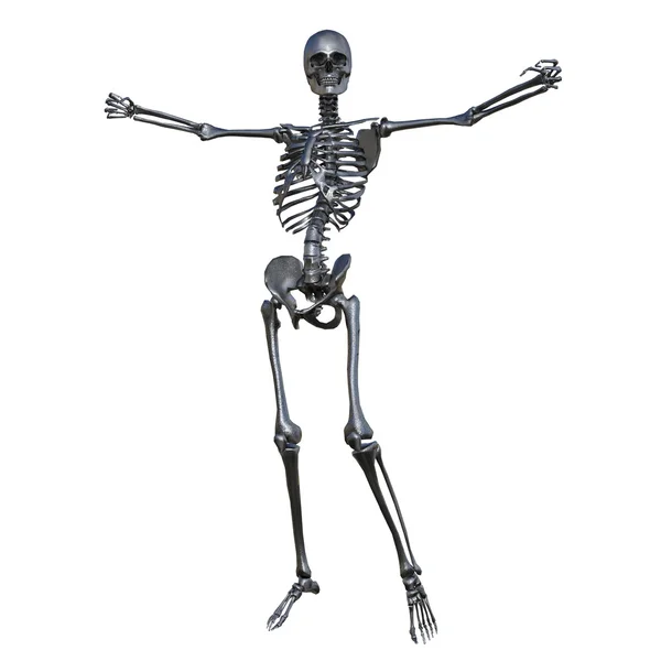 Skeleton Stock Photo by ©TsuneoMP 77415650
