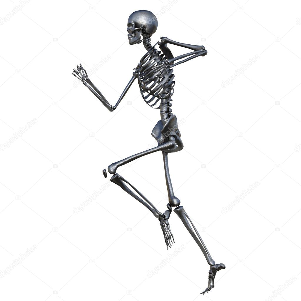 Skeleton — Stock Photo © TsuneoMP #77586600
