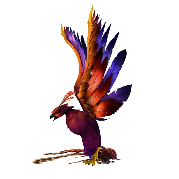 Gallo morado Stock Photos, Royalty Free Gallo morado Images | Depositphotos