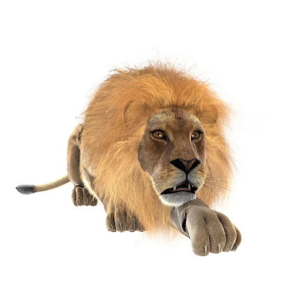 Λιοντάρι θηριοδαμαστής Φωτογραφίες Αρχείου, Royalty Free Λιοντάρι ...