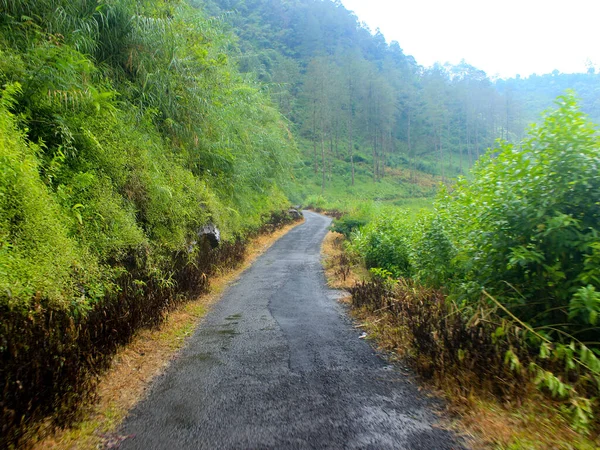 Nature landscape road Stock Photos, Royalty Free Nature landscape road ...