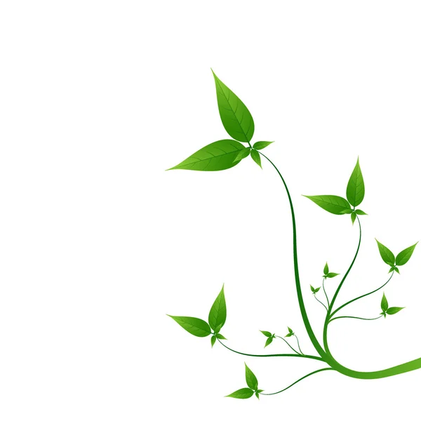 Vine leaves Vector Art Stock Images | Depositphotos