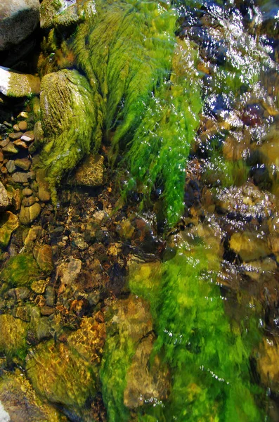 Maine spring water Stock Photos, Royalty Free Maine spring water Images ...