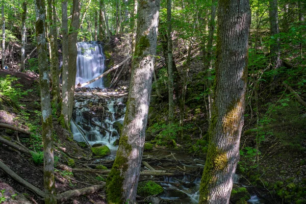 Silverfallet Staircase Waterfall Nature reserve in Lush serene forest ...