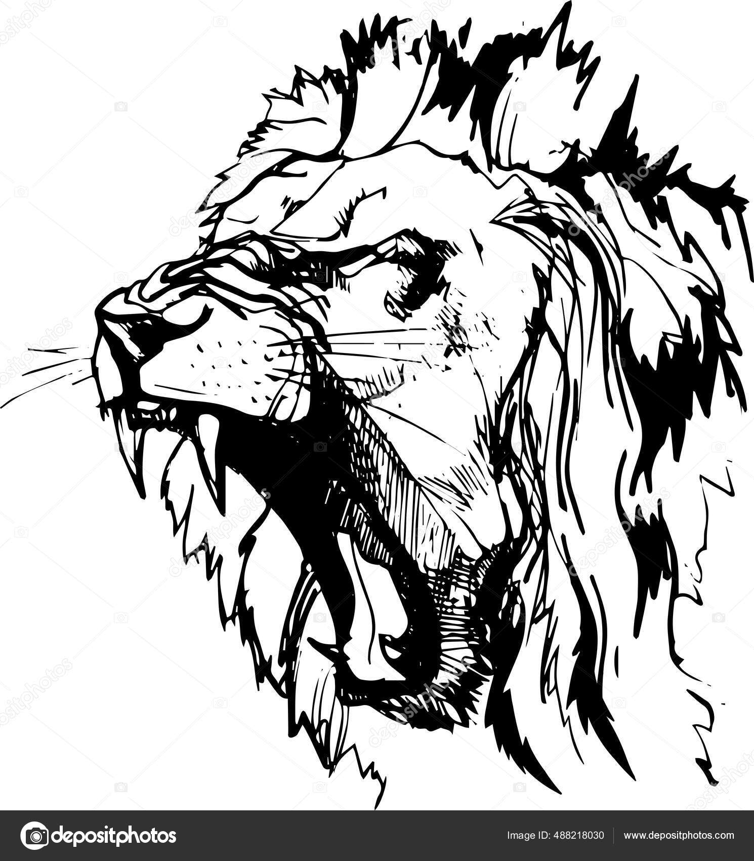 Roaring Lion Line Drawing