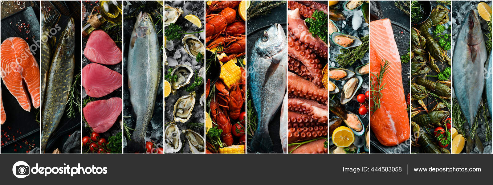 Composition Seafood Black Background Collage Photos Fresh Fish ...