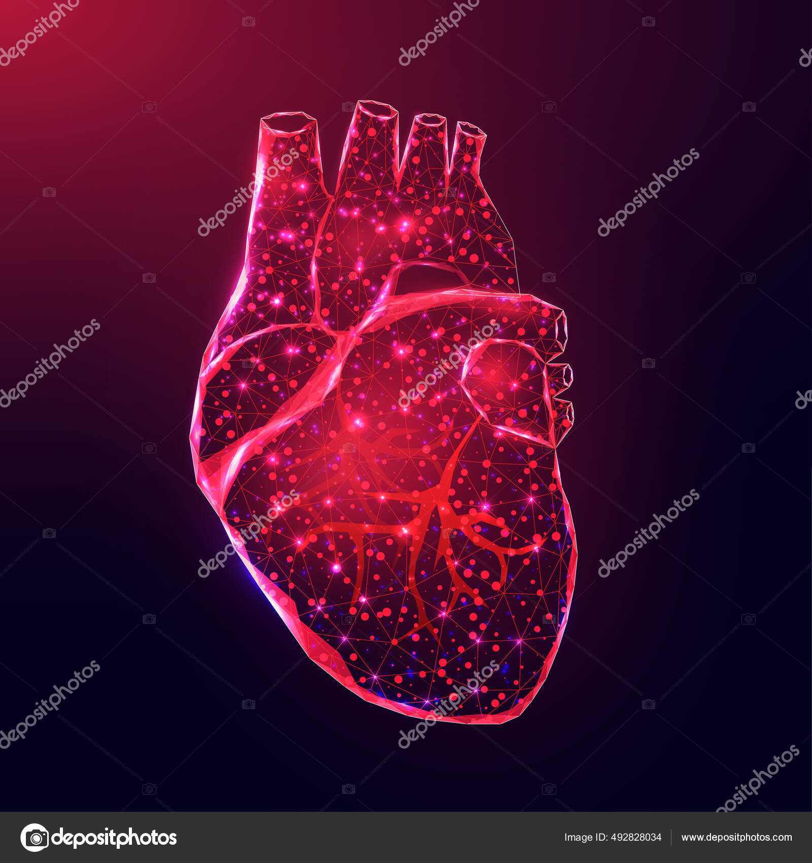 Cool Human Heart Pictures