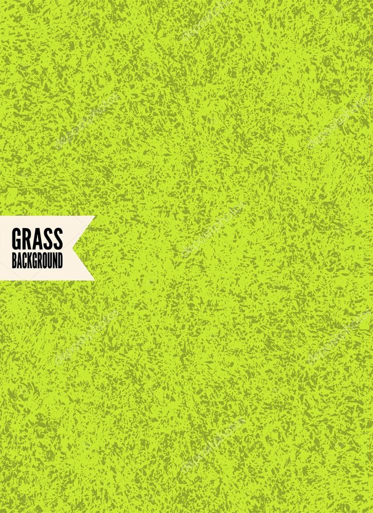 Green grass texture. Vector background. premium vector 2024