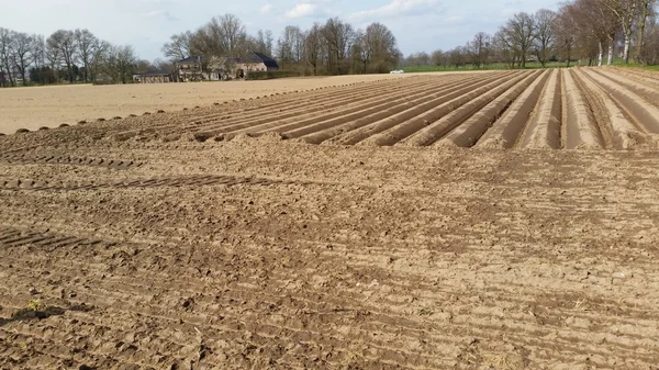 Red Soil — Stock Photo © rusty426 #3049097