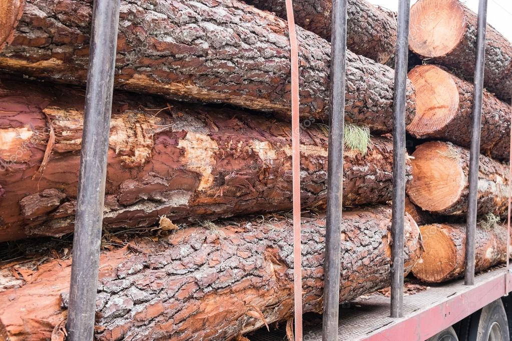 A pine logs Stock Photo by ©luismicss 87022810