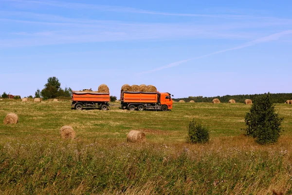 Harvest truck Stock Photos, Royalty Free Harvest truck Images ...