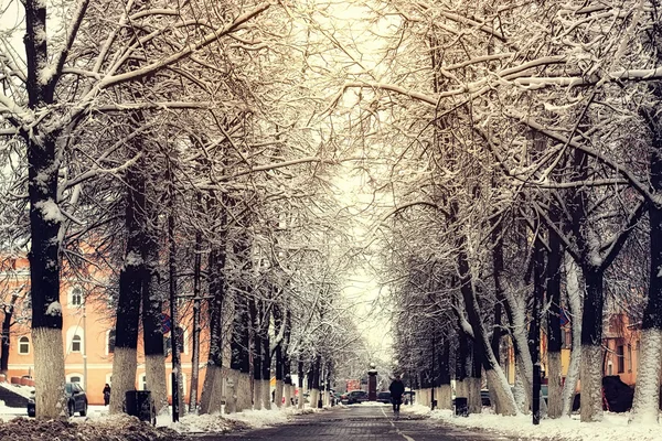Winter pathway, Edinburgh, Scotland — Stock Photo © StockCube #19965511