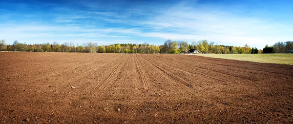 Dirt Field Background