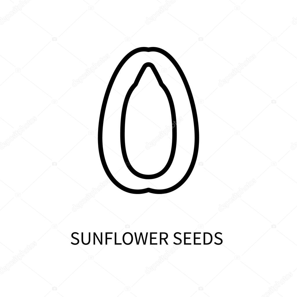 Icono de la línea de semillas de girasol en un estilo simple. Signo ...