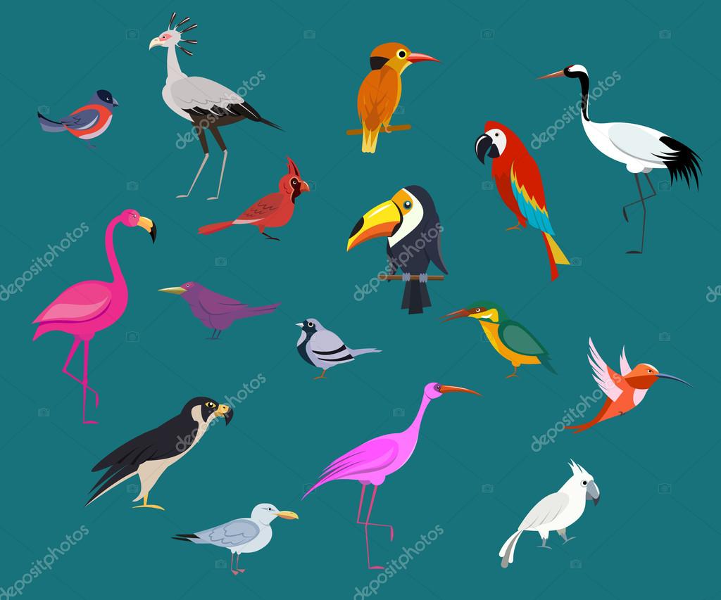 Collection of wild birds Stock Vector by ©mirquurius 116036640