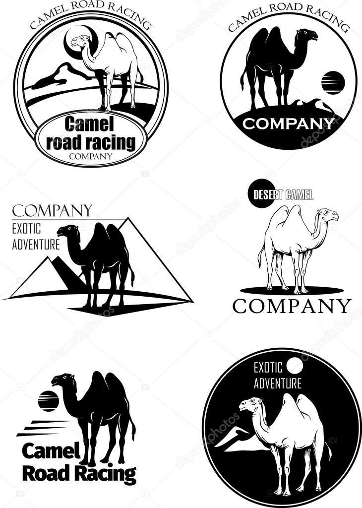 Logo camel ride — Stock Vector © gjan@mail.ru #69461887