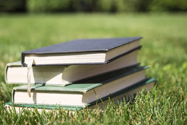 Reading books outside Stock Photos, Royalty Free Reading books outside ...