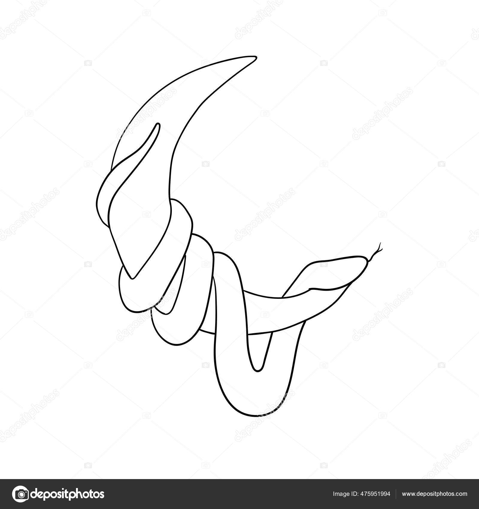 Snake Moon Whitebackground Snake Lineart Stock Photo by ©Daria ...