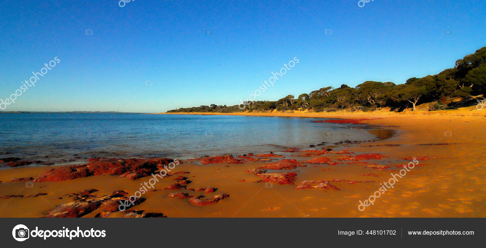 Red Rocks Sand Beach Phillip Island Victoria Australia — Stock Photo ...