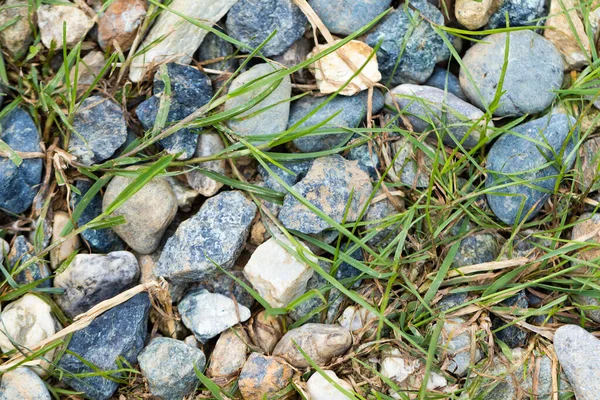 Rocks grass Stock Photos, Royalty Free Rocks grass Images | Depositphotos