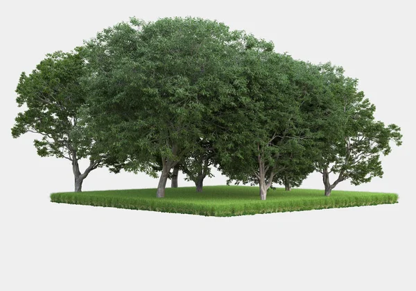 Reforestation word images libres de droit, photos de Reforestation word ...