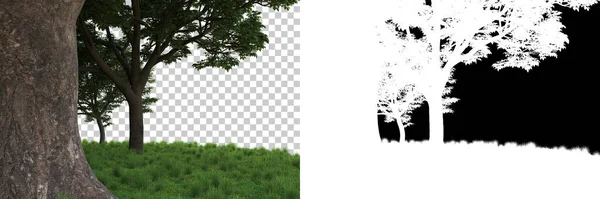 How to edit image background Stock Photos, Royalty Free How to edit ...