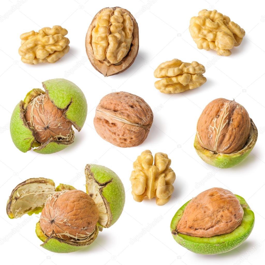 Verde de la nuez, nuez pelada y sus granos en un fondo blanco 2023