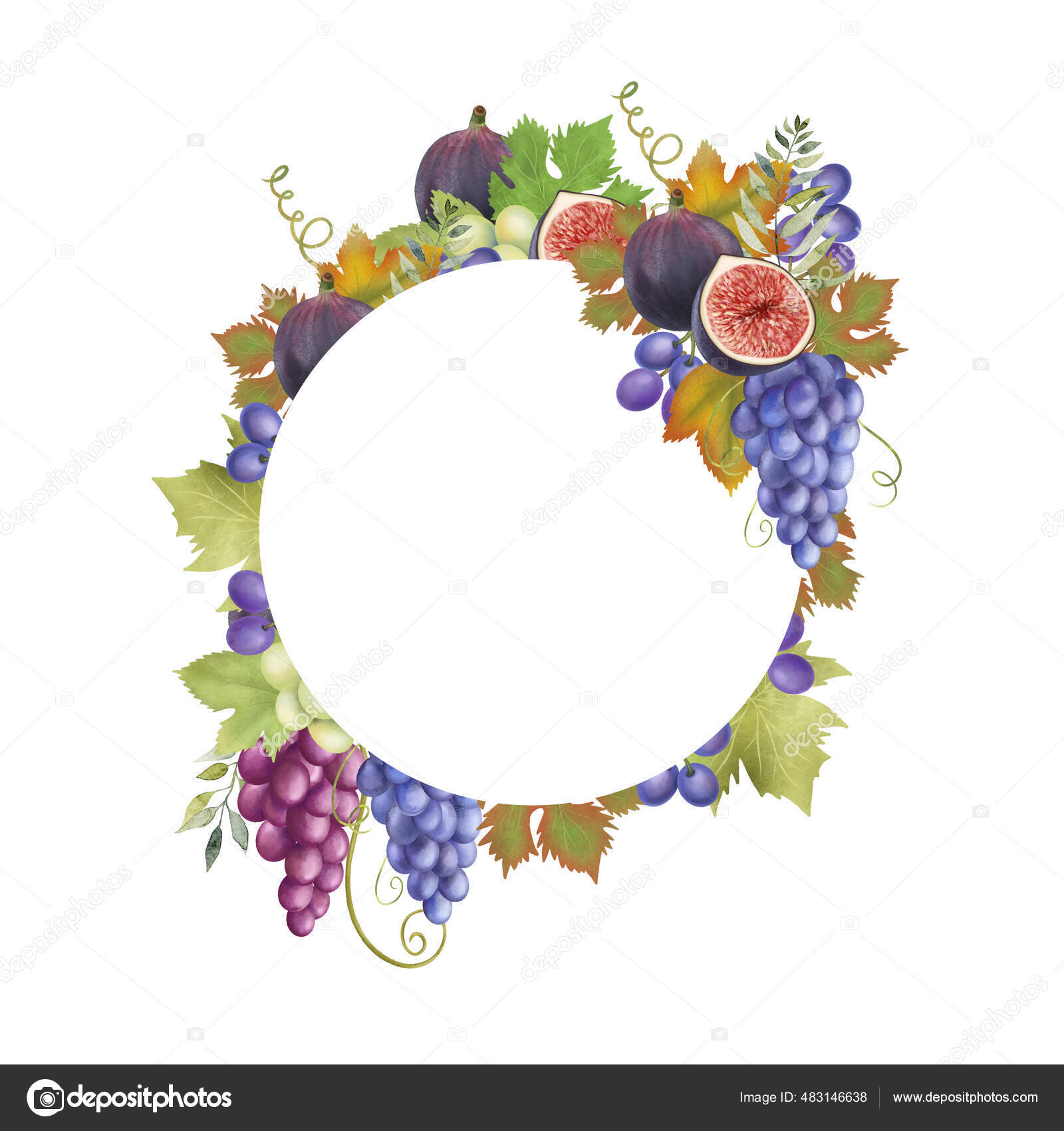Fall Fruit Frame Blue Purple Grapes Leaves Figs Hand Drawn — Stock ...