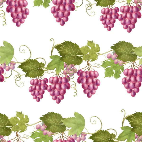 Card Template Purple Grapes Hand Drawn Illustration White Background — Stock Photo ...