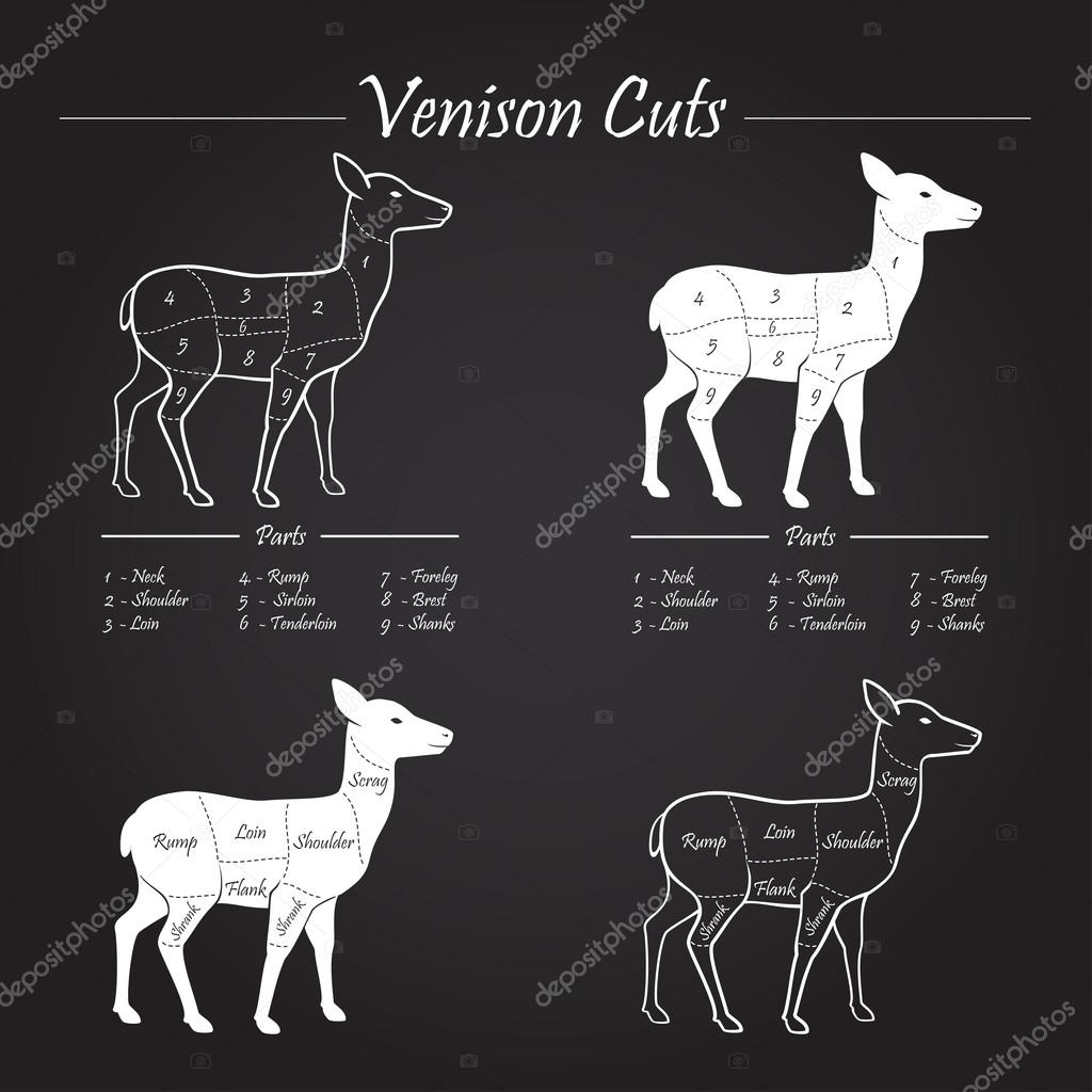 Deer Meat Cuts